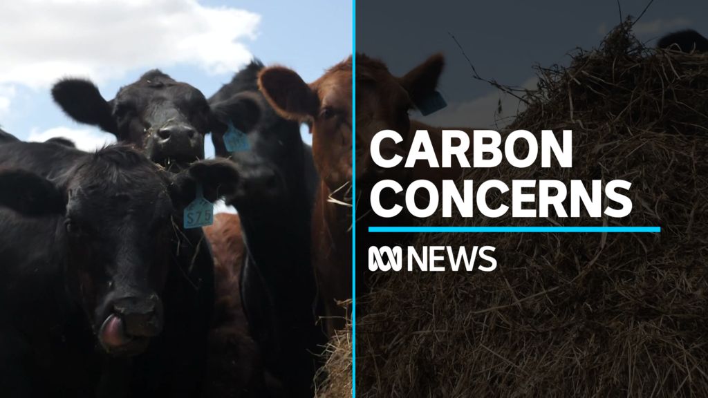 Farmers fear they'll pay heavy price in carbon battle - ABC News