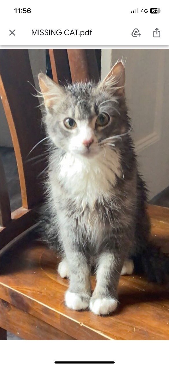 Woman rescued after becoming trapped in well at Gawler West trying to ...