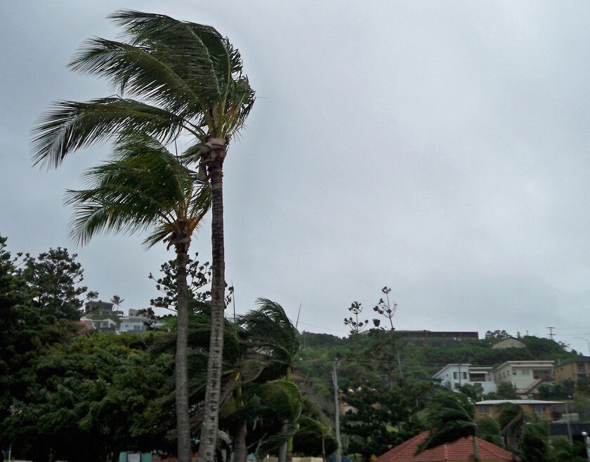 Babies born during cyclones more likely to be preterm, underweight ...