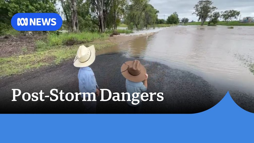 News From Queensland : ABC iview