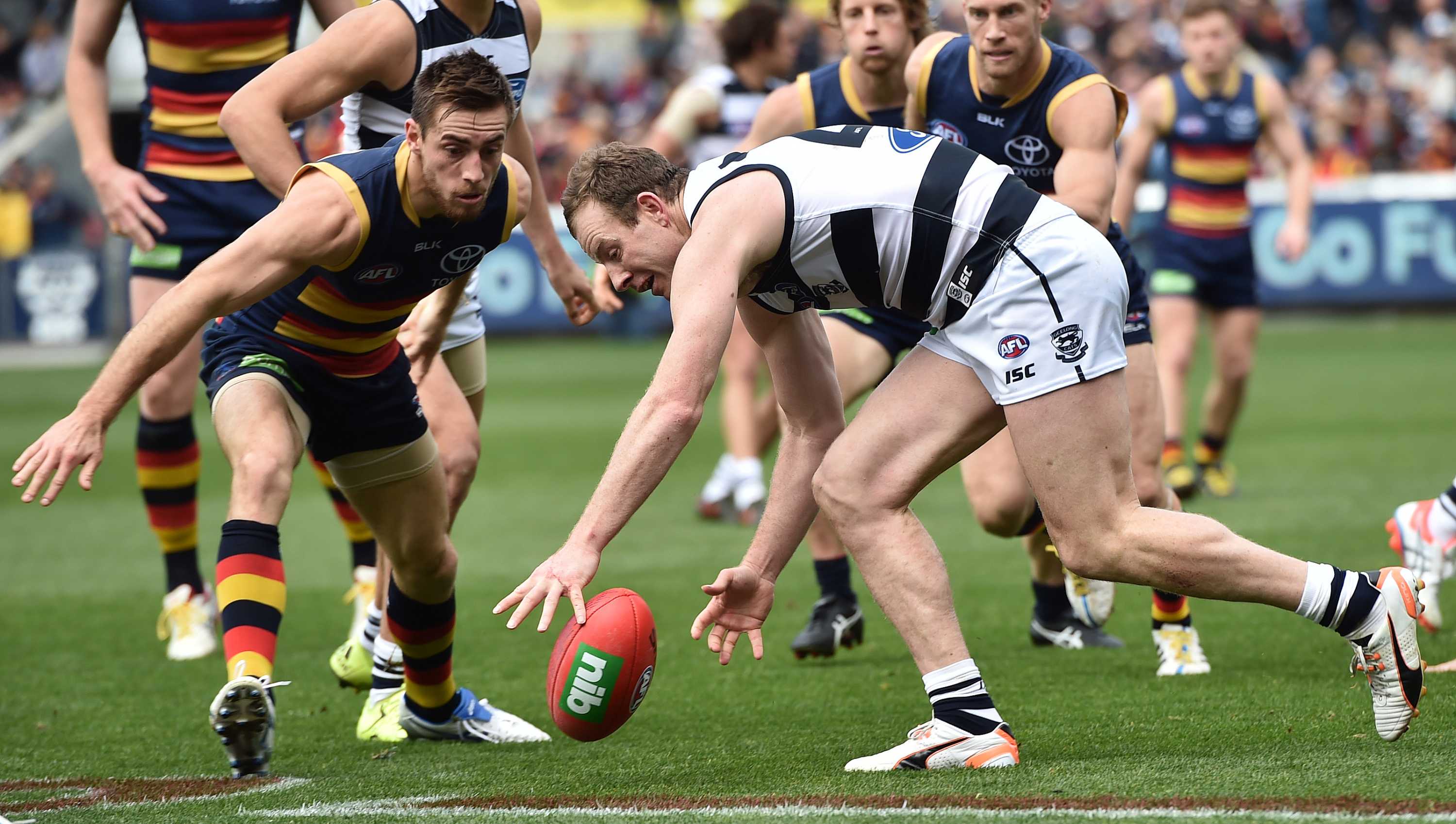 AFL retiring class of 2017 ranked: Bob Murphy, James Kelly, Luke Hodge ...