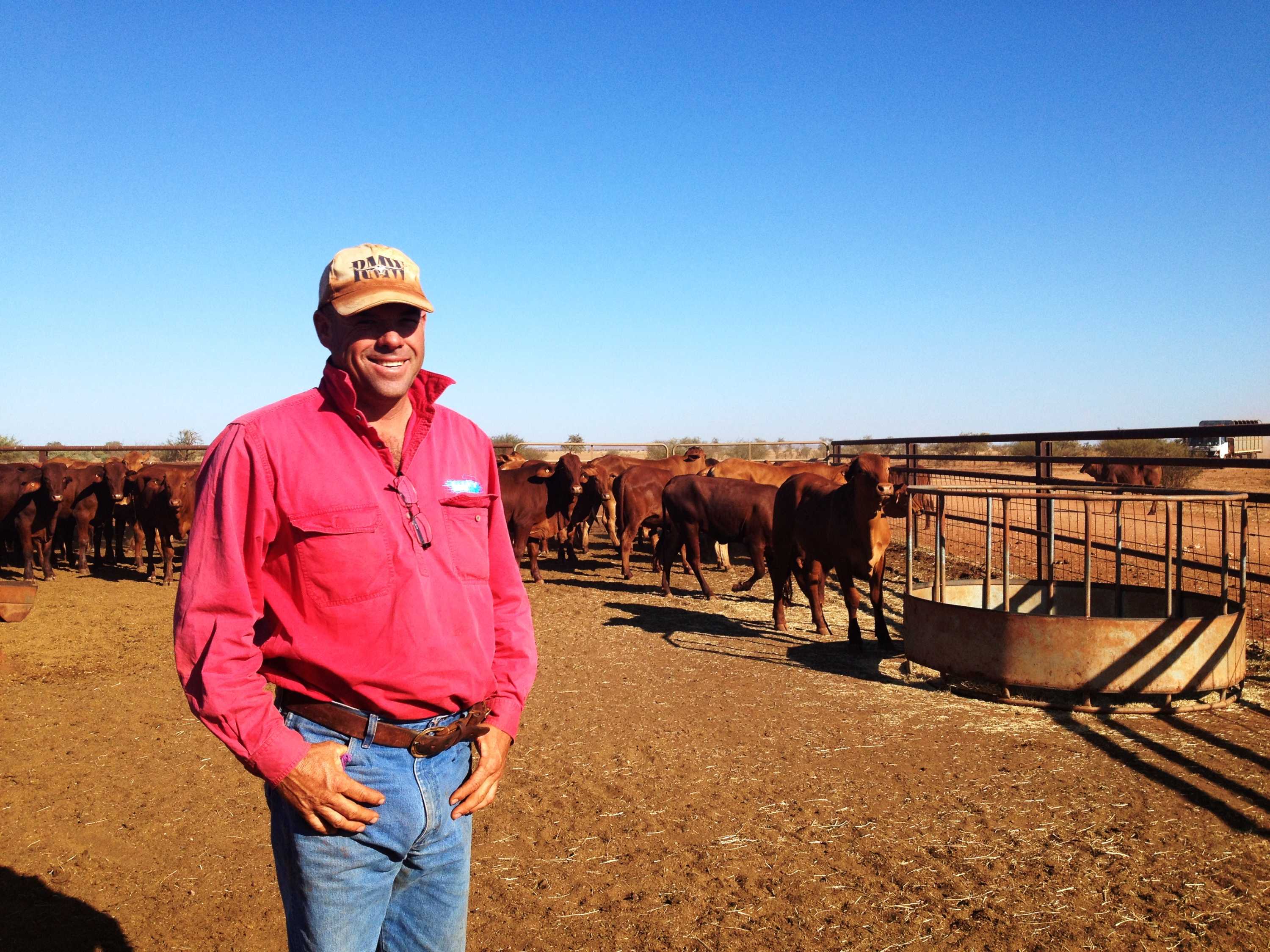 Pilbara cattle station hopes to boost production, signing fine-dining ...