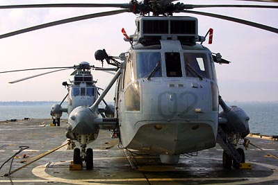 Sea King helicopters back in the air - ABC News