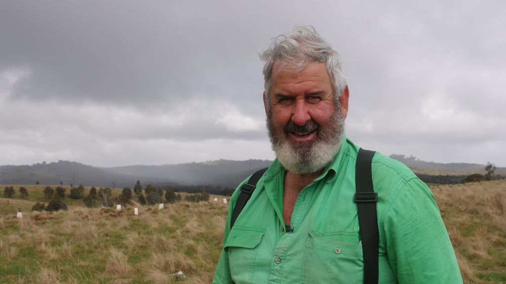 Farmer plants nearly 80,000 trees to bring wildlife back - ABC News