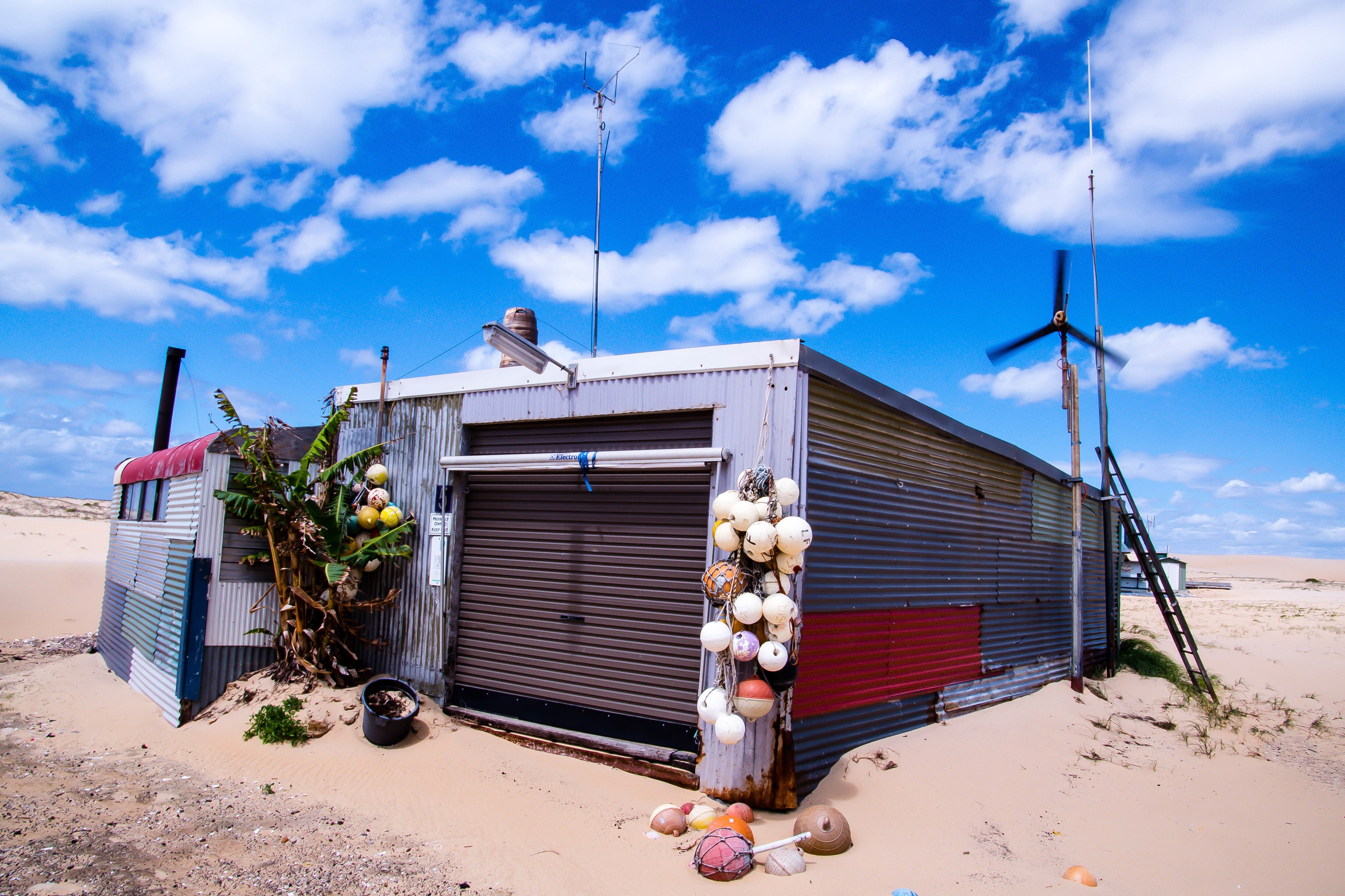 LNL Summer: Kate Grenville confronts her settler ancestry - ABC listen