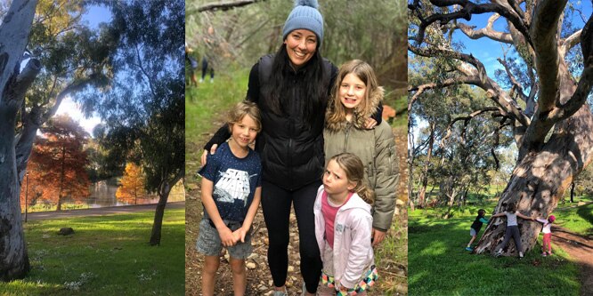 Join Ali Clarke for Walktober - ABC Adelaide