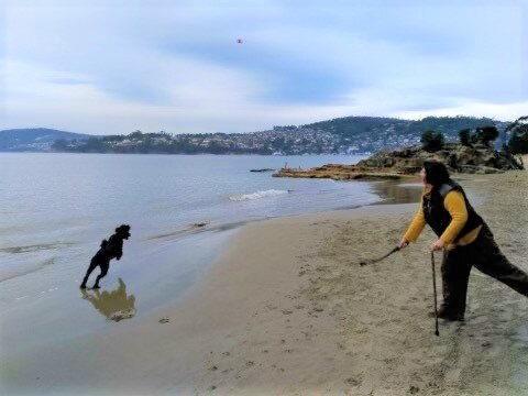 Hobart scientist Bridget Green recovers from brain injury with help ...