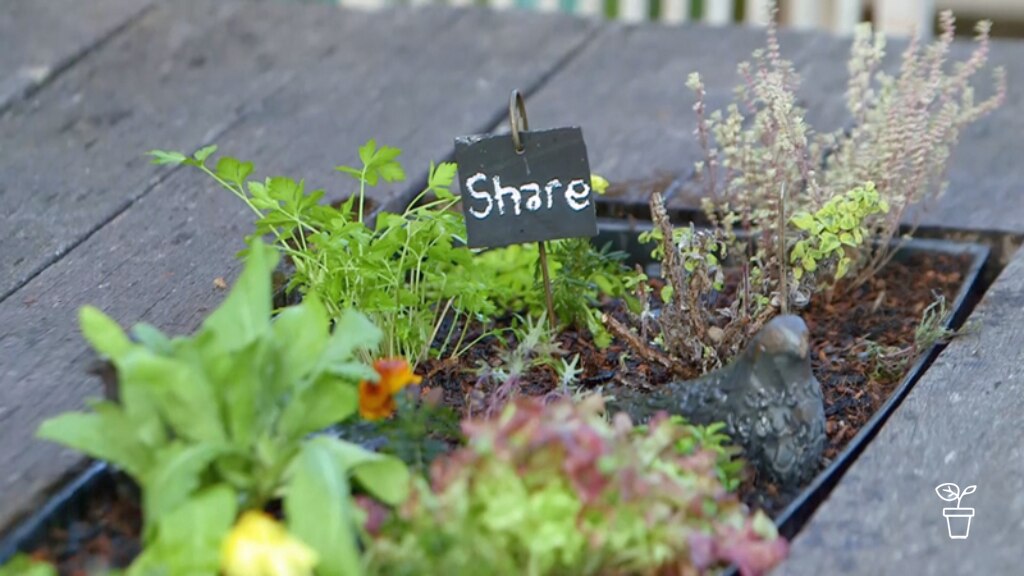Vege Table - Gardening Australia