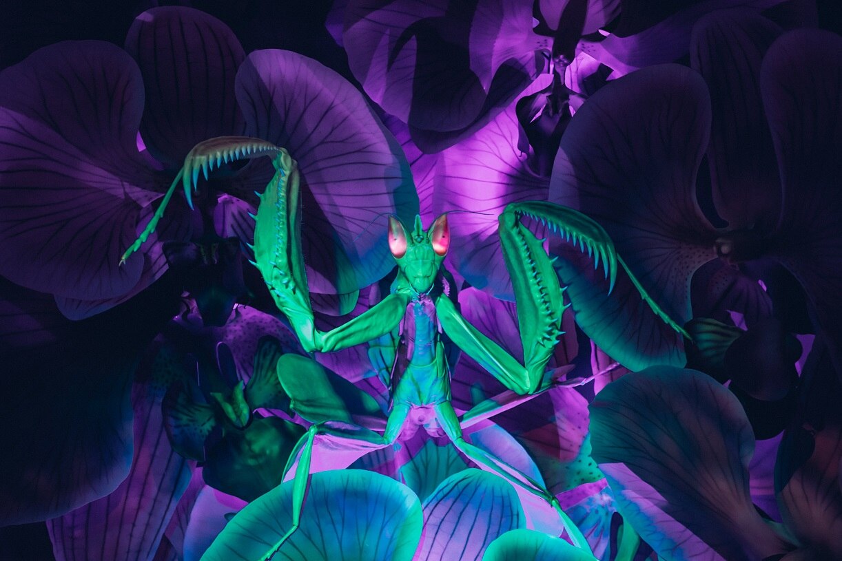 From Hobbits to honeybees: A peek inside Weta's special effects cave ...