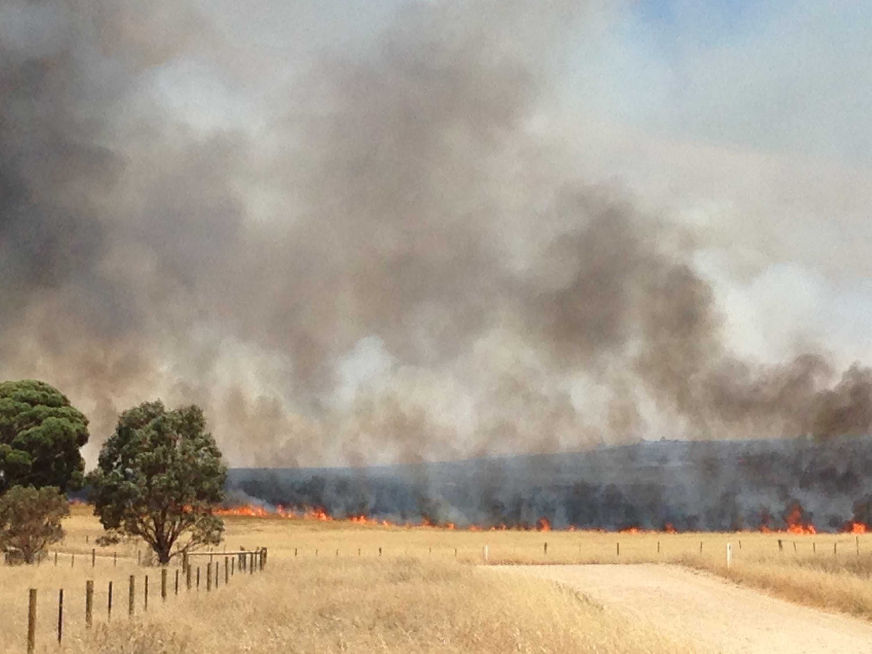 Year in review: The big stories that made headlines in South Australia ...