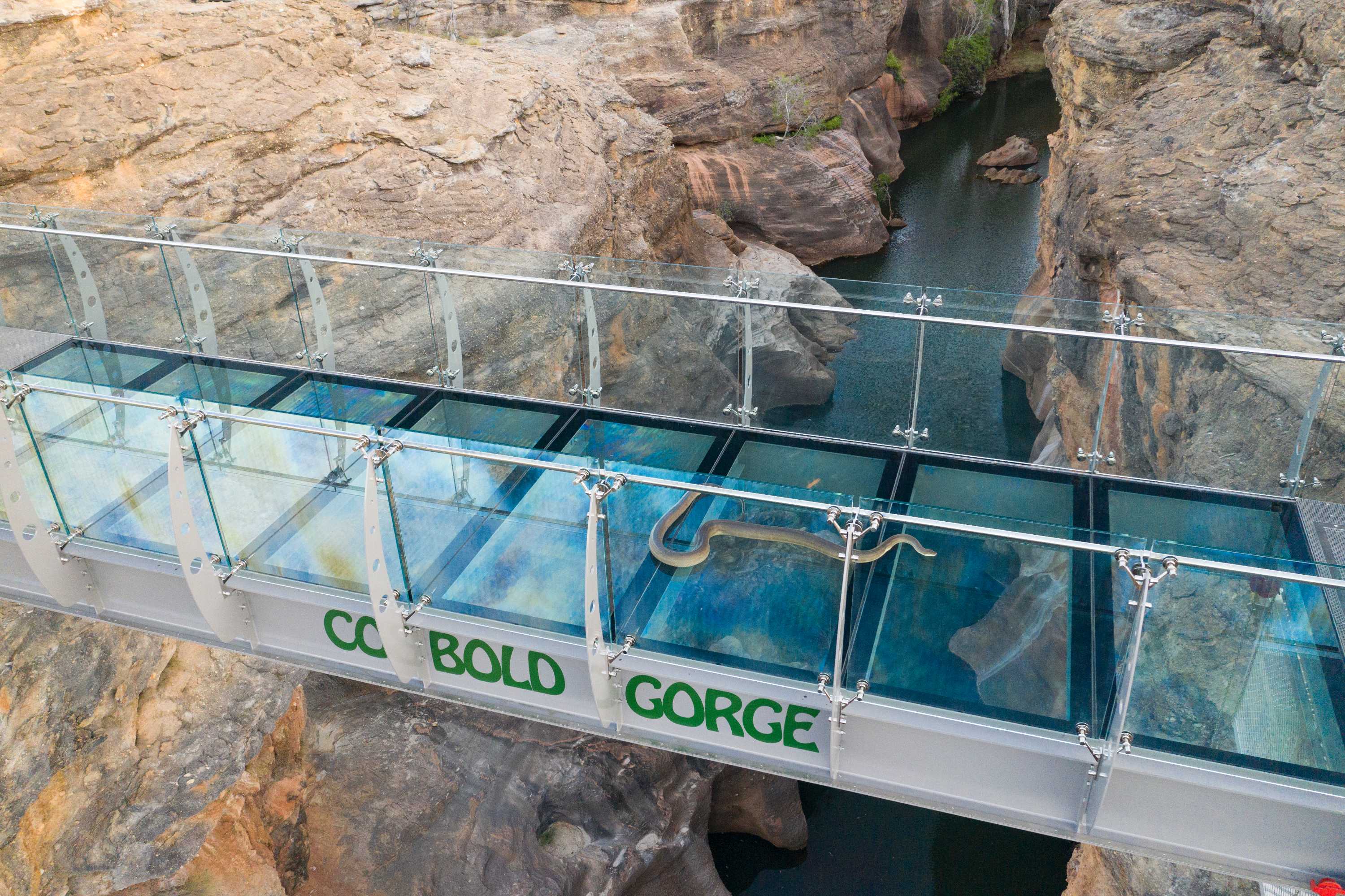 Australia's first glass bridge unveiled at Cobbold Gorge in outback ...