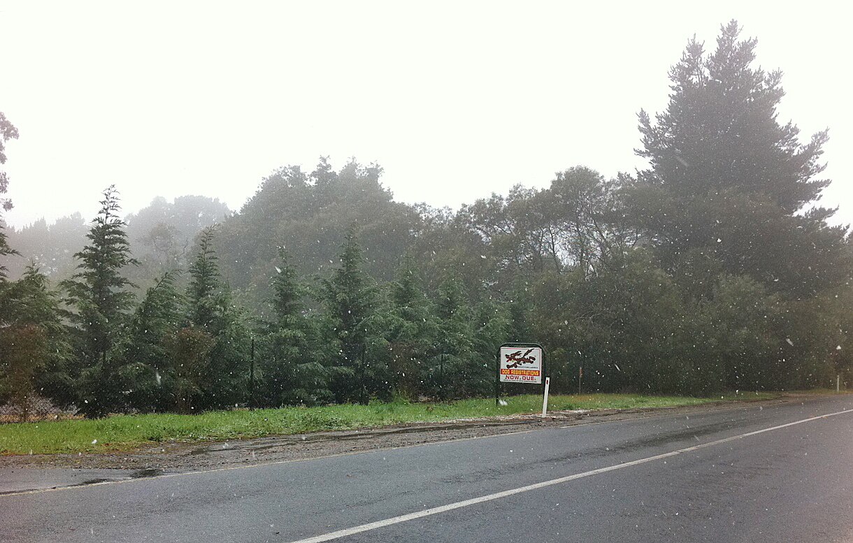 Once-in-century October snow across SA - ABC News