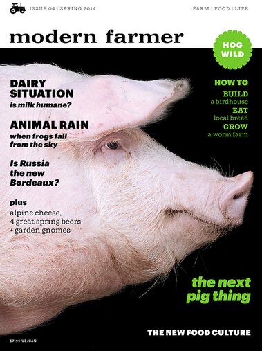 Farming magazine wins prestigious US media award - ABC News