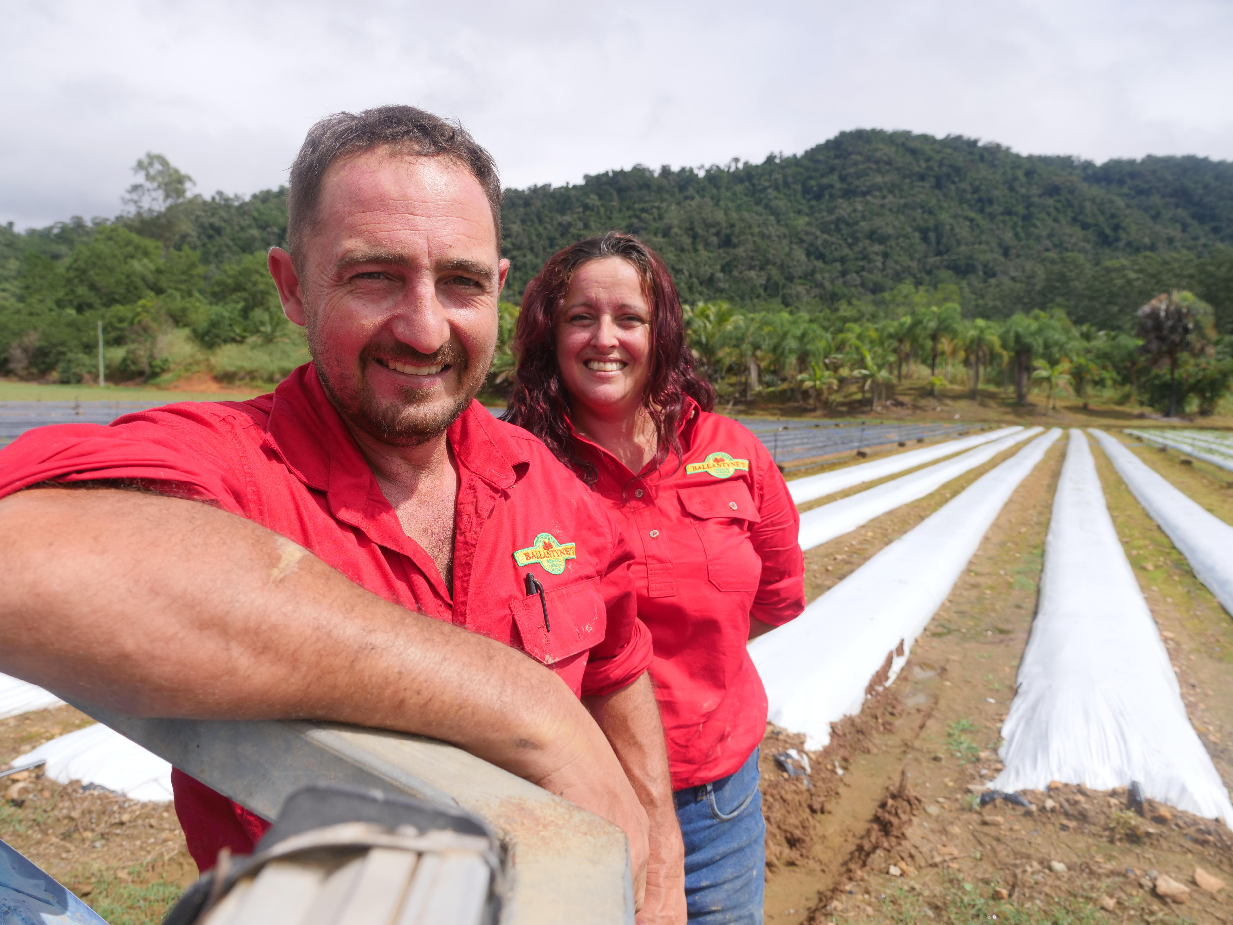 Owners of Ballantyne's 'pick your own' strawberry farm sell up after ...