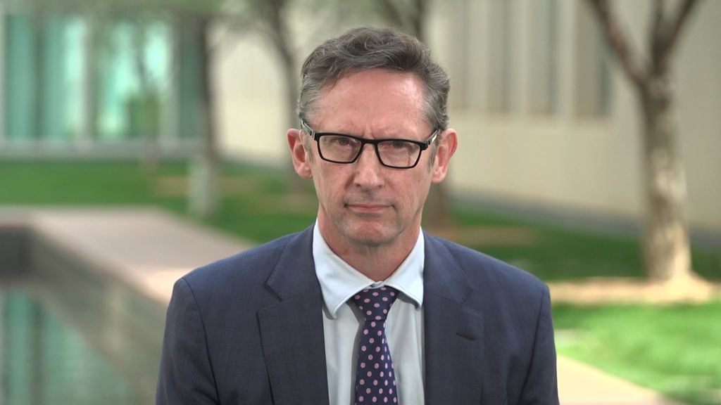 Stephen Jones explains how new scam laws would work - ABC News