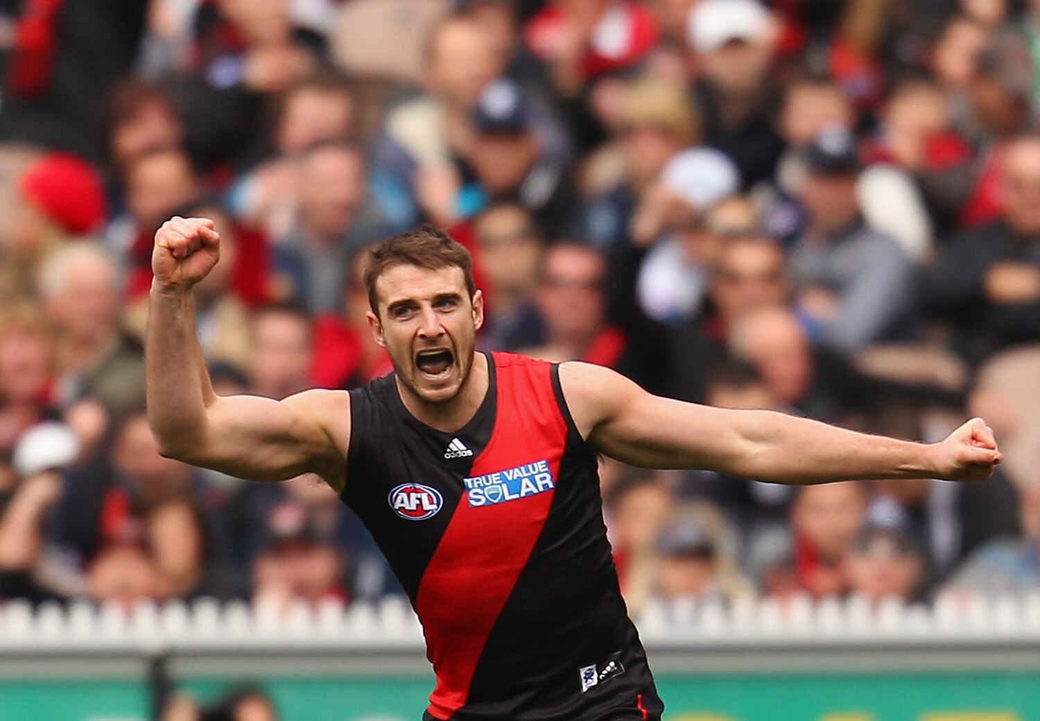 Watson named Bombers' best - ABC News