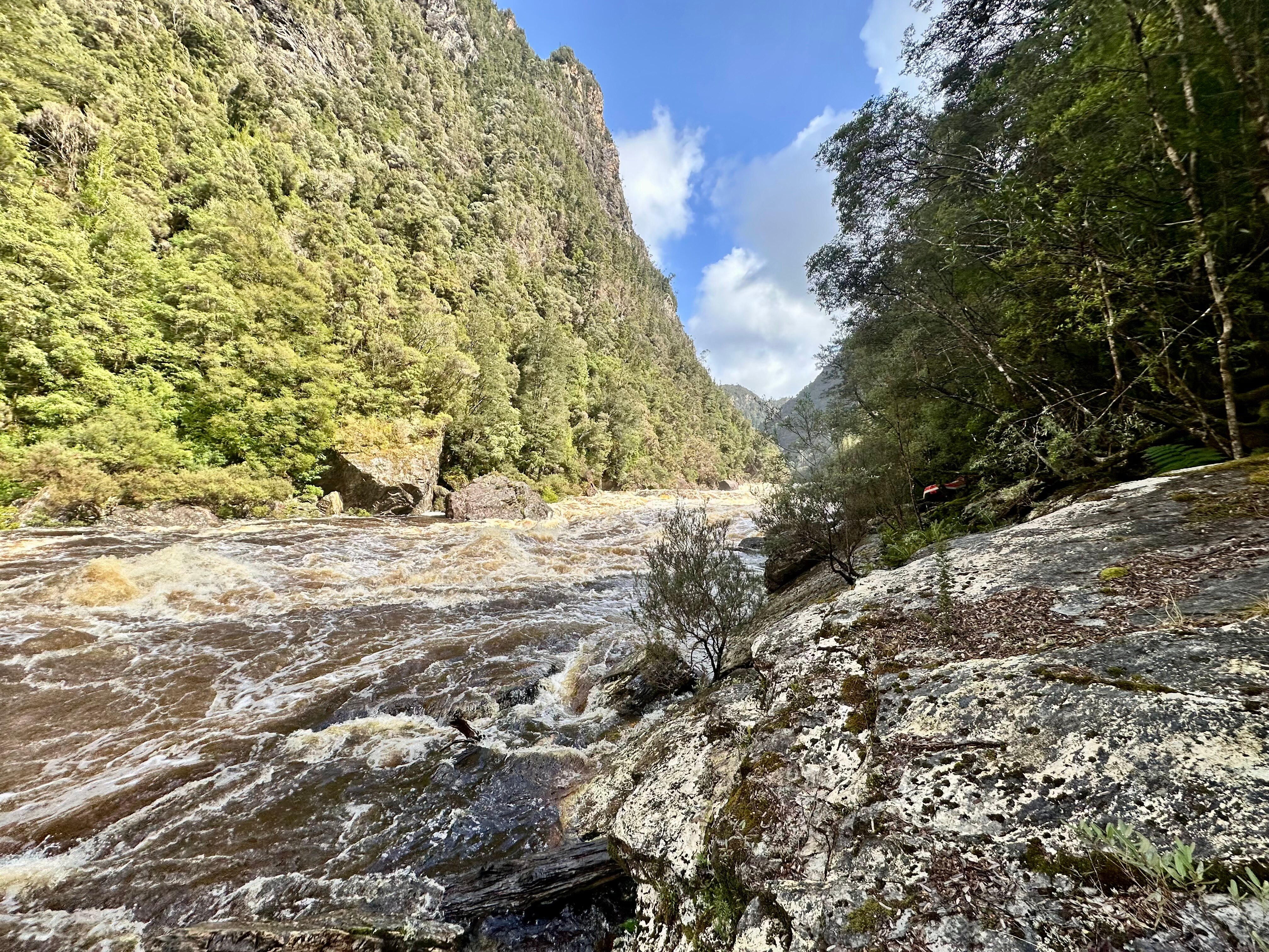 Tasmanian woman drowns on day 5 of multi-day Franklin River rafting ...