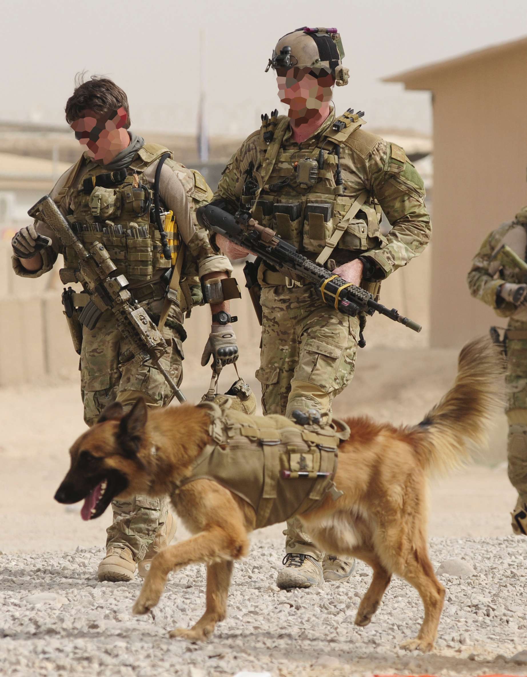 'Victoria Cross for animals': Military dog Kuga posthumously awarded ...