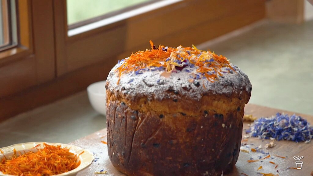 The Gift of Panettone - Gardening Australia
