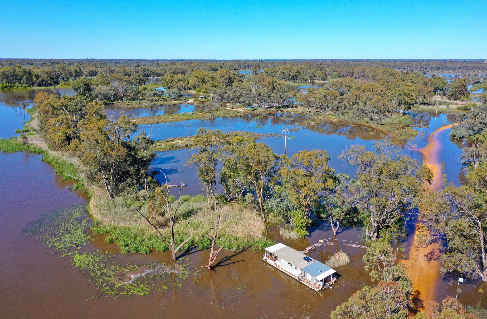 Riverland’s much-loved photographer documenting high river - ABC listen