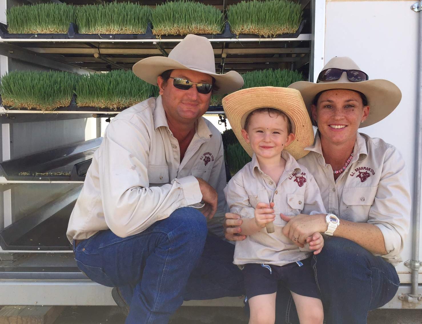 Fodder factory helps drought-proof western Queensland property - ABC News