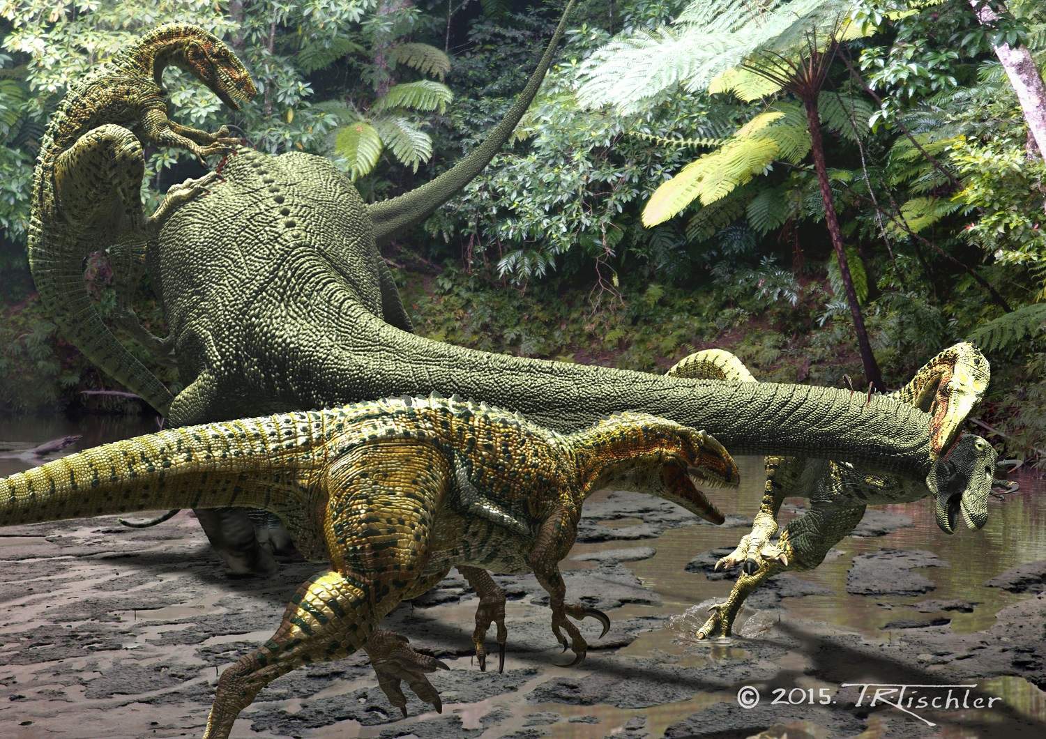 Winton dinosaur field reveals biggest carnivorous dinosaur ever found ...