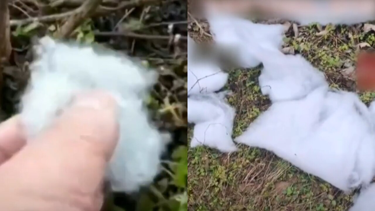 Chinese snow village apologises for using cotton wool to create fake ...