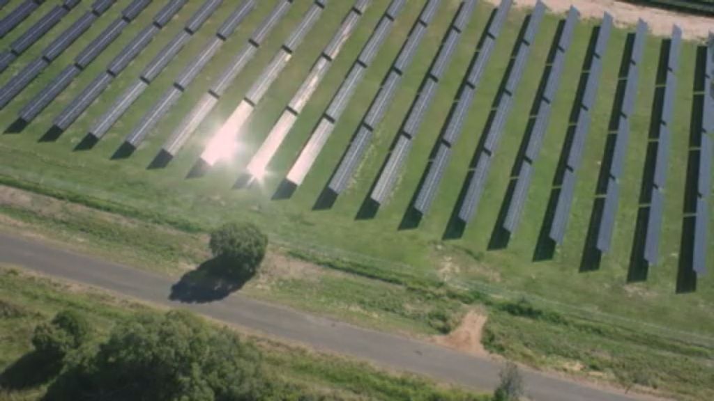 UQ already has a solar farm at Gatton (Supplied: UQ) - ABC News