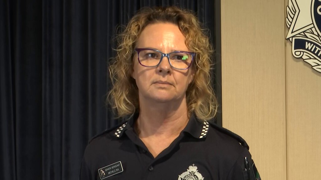 Paraglider dies after fall at Mena Creek near Innisfail - ABC News