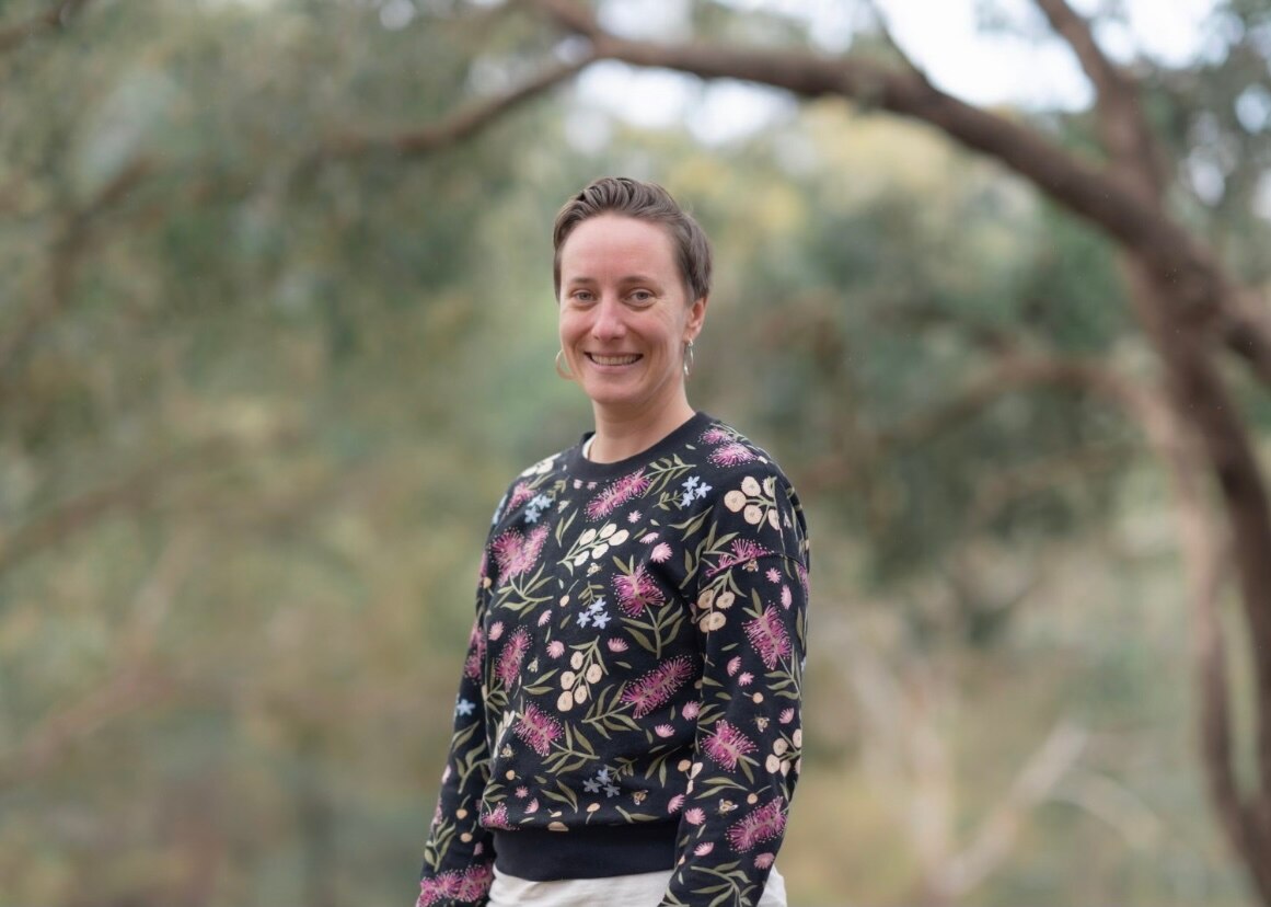 Expert says trees dying due to drought conditions won't recover - ABC ...