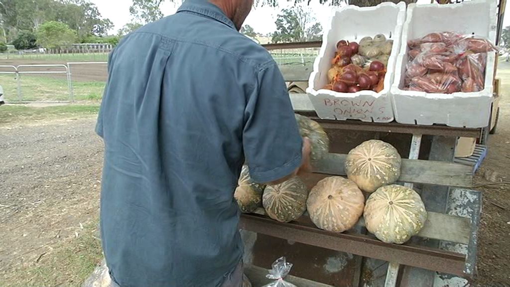 Farmers struggle to survive as governments call for increased ...