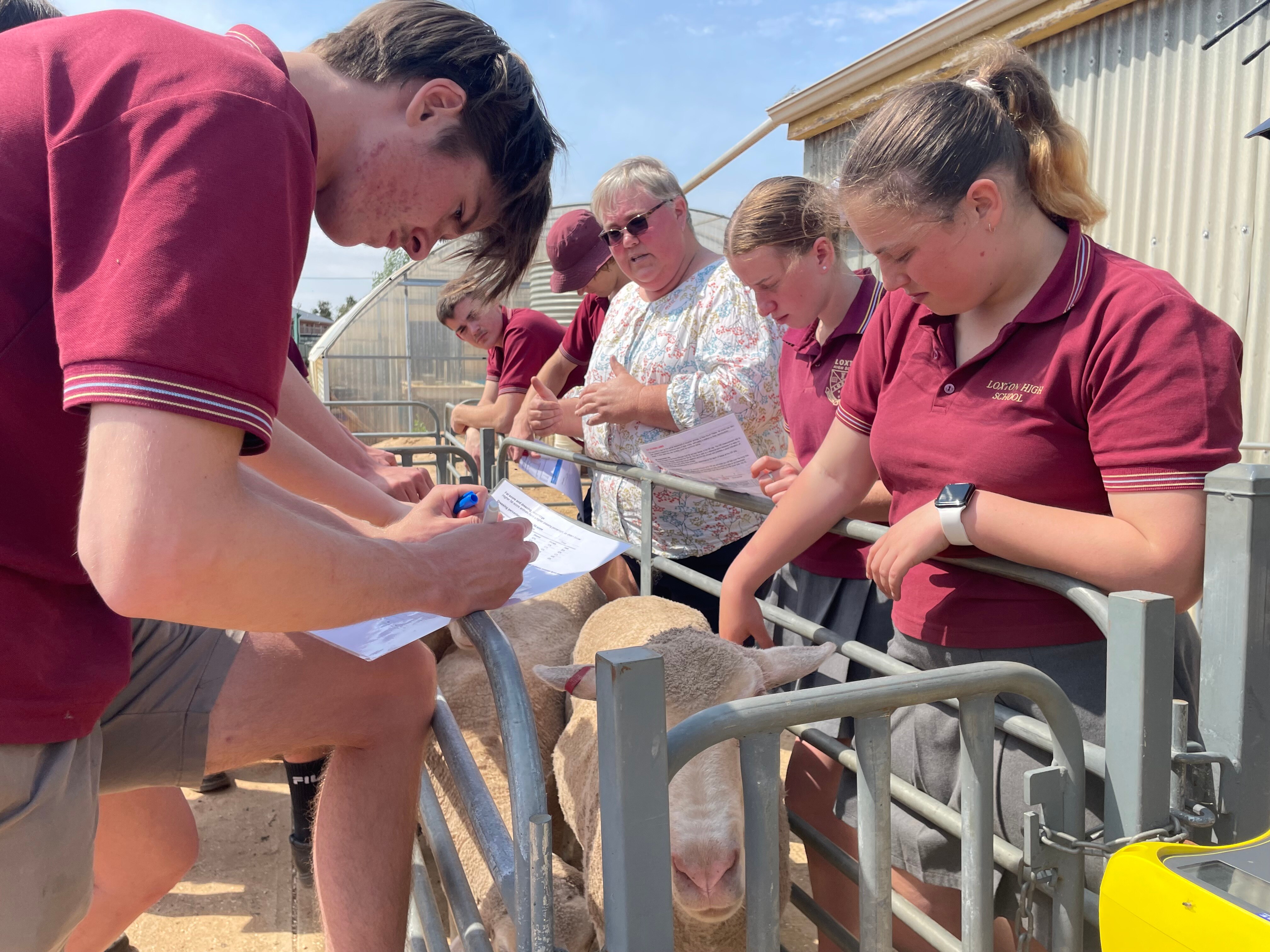 Teachers rethink agricultural education to better equip today's ...