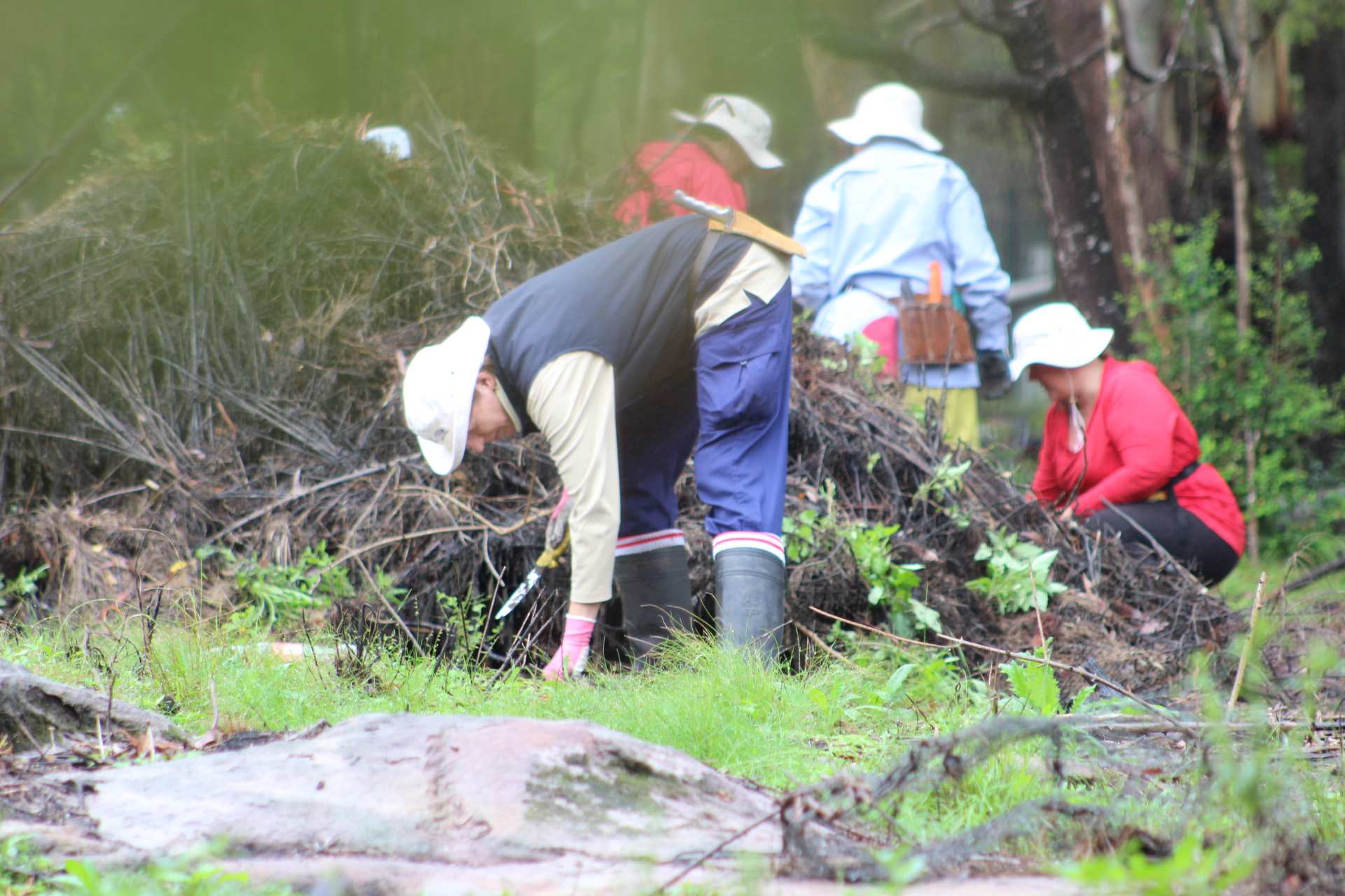 For the love of Skippy Park - ABC Radio National