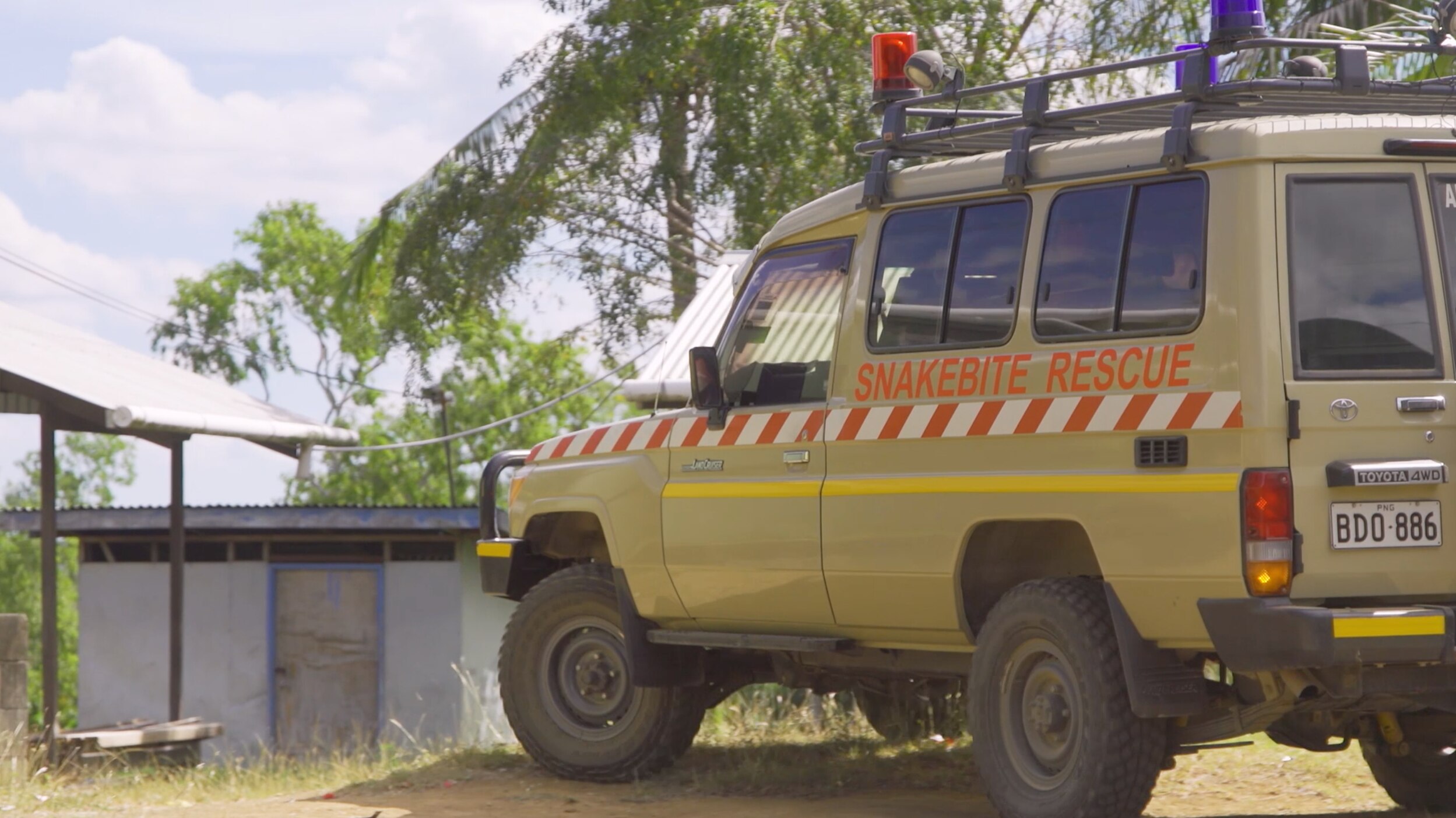 Scientists trek through PNG to deliver life saving snake antivenom ...