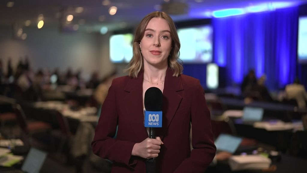 SA treasurer hands down 2025 state budget - ABC News