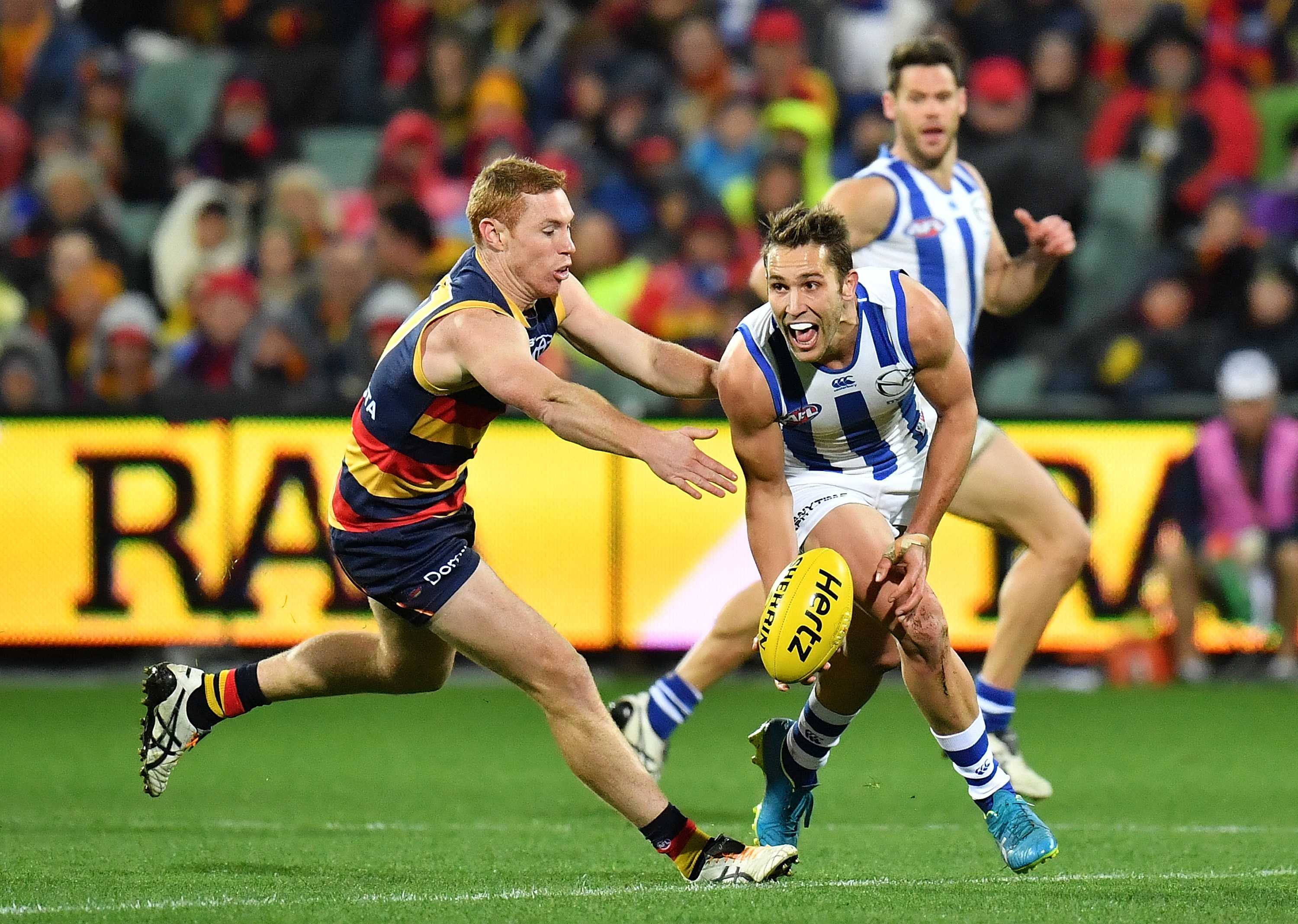 Adelaide Crows defeat North Melbourne by 33 points to claim fifth ...