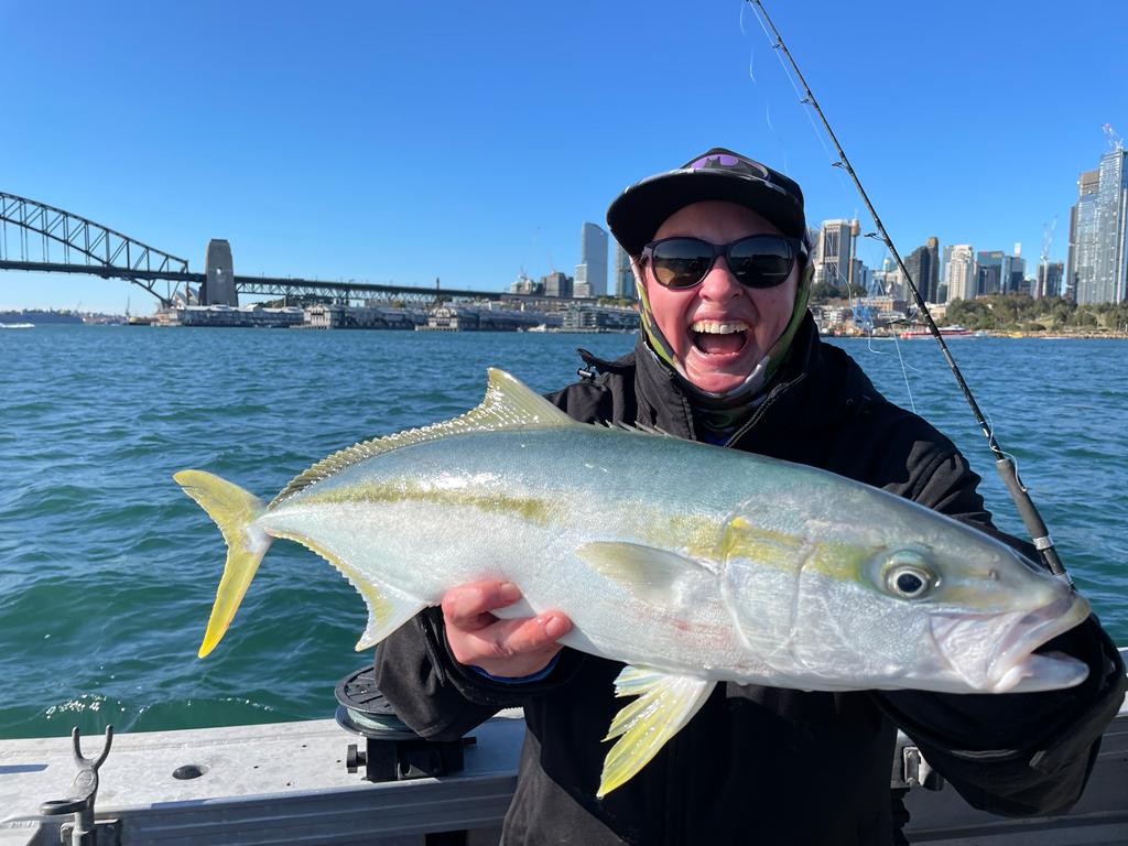 The Big Fish: Lake Mac Trophy Flathead Tagging nears Milestone - ABC listen