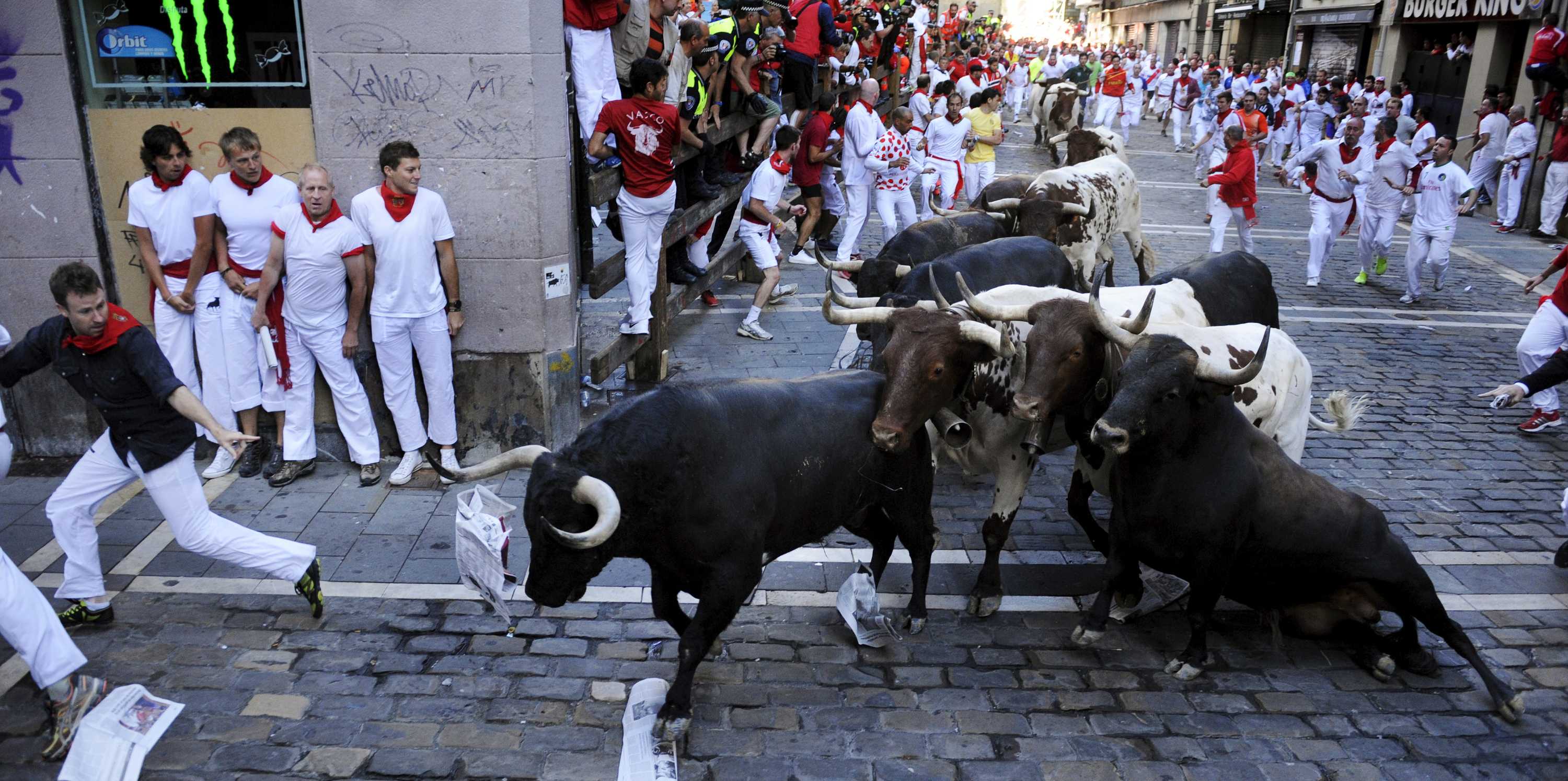 Animal rights groups protest against 'cruel, violent and bloody ...