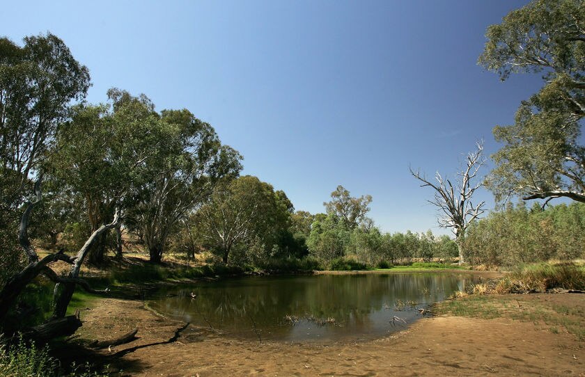 Jamie Pittock - ABC News