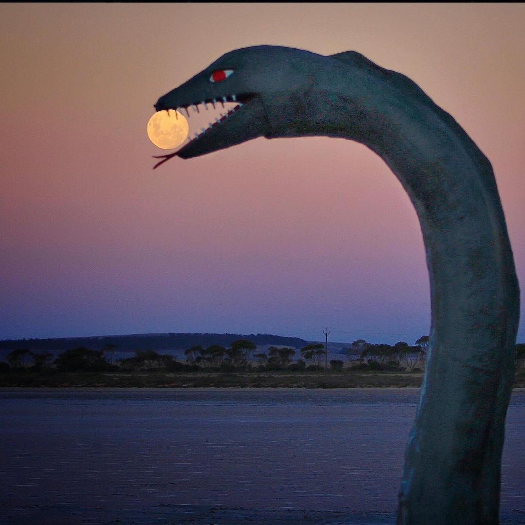 Lochiel sculpture a monster hit for motorists on Highway One - ABC listen