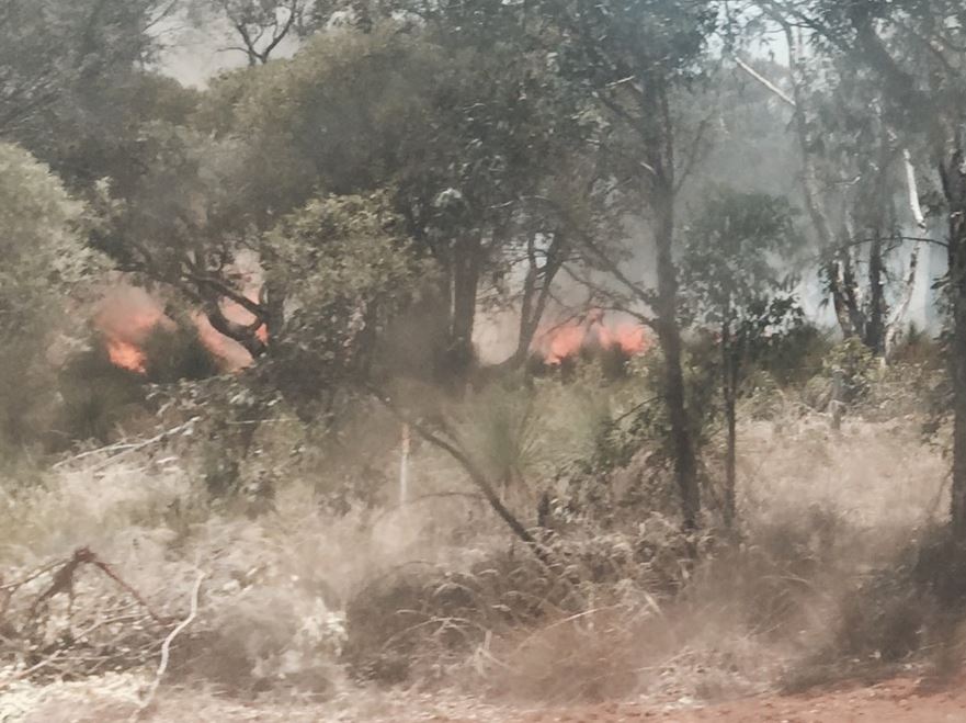 Perth bushfire: Gidgegannup fire downgraded to watch and act - ABC News