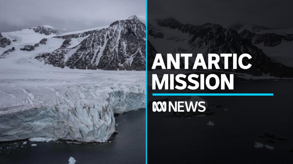 Electricity regulator to make power bills easier to read - ABC News