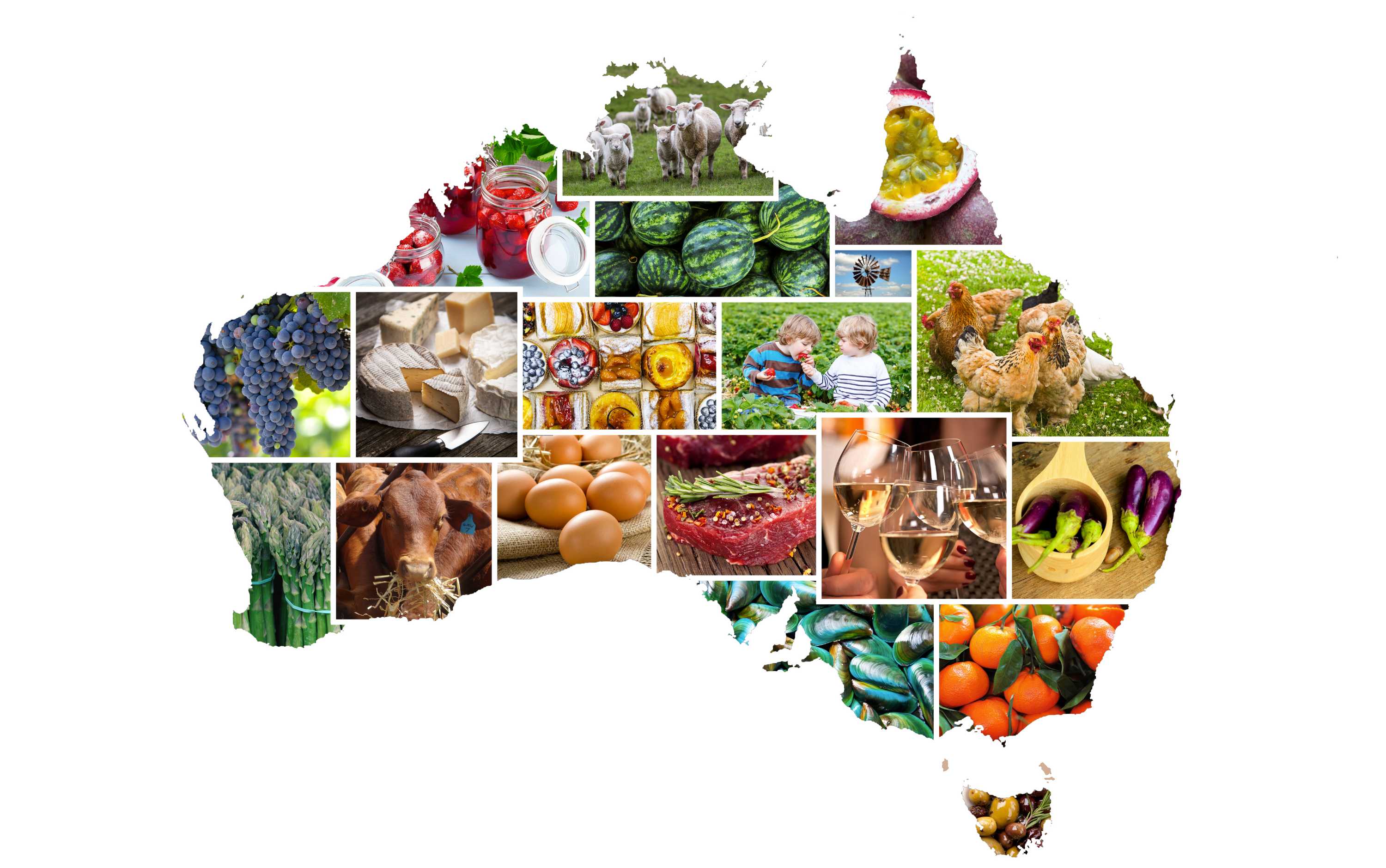 Food website links farmers with consumers, manufacturers and ...