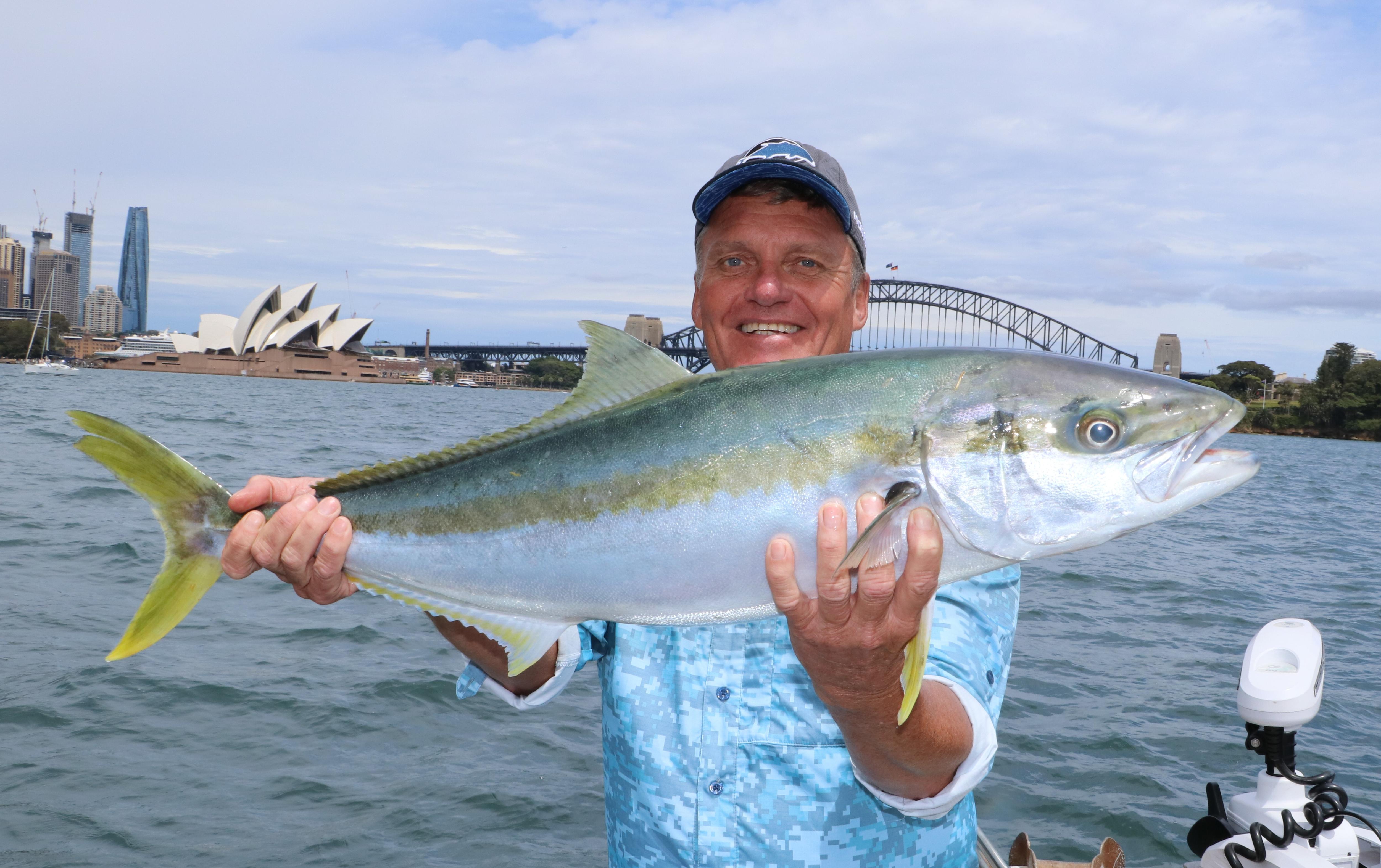 Fish carrying parasites that turn flesh to mush being caught further ...