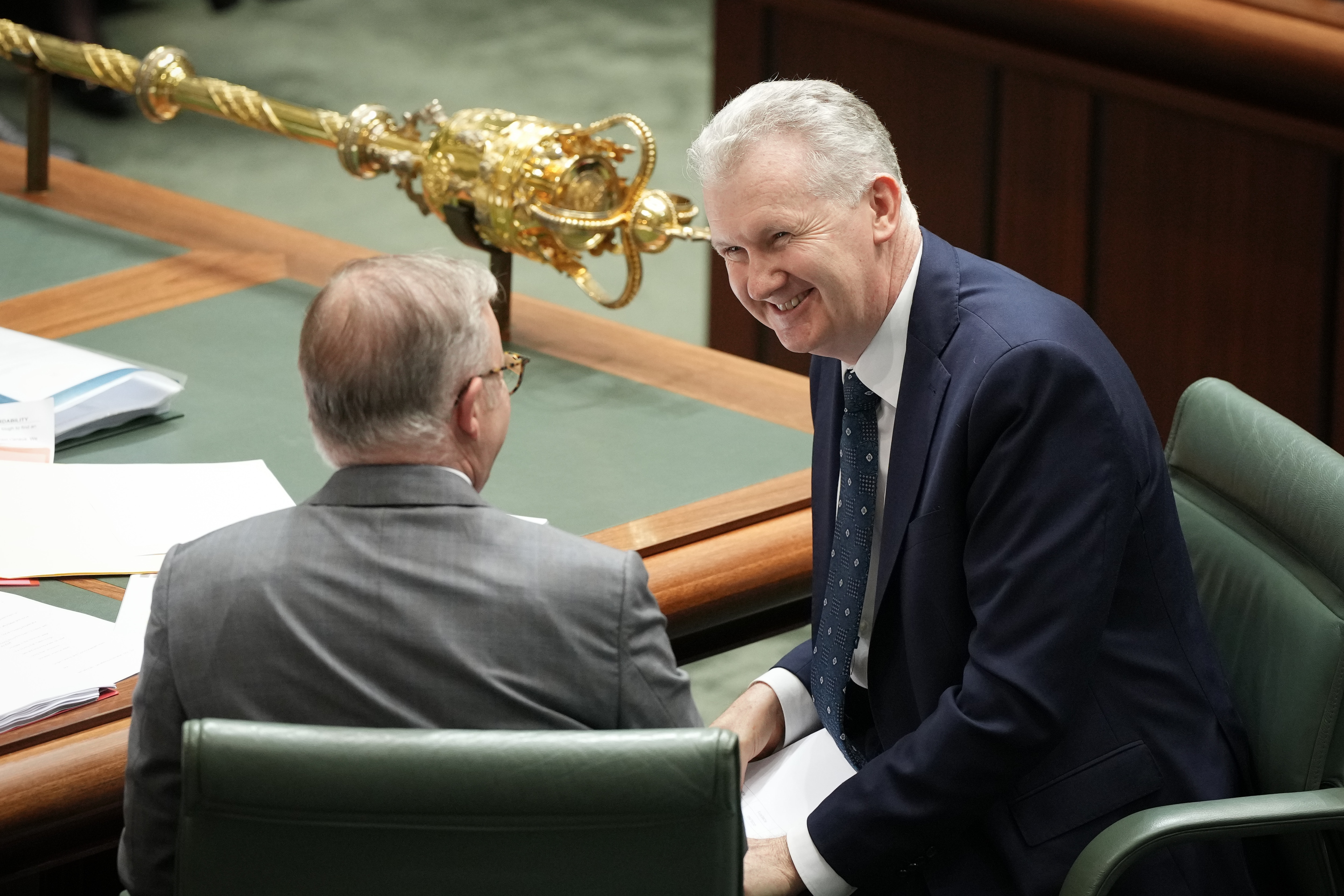 Minister Tony Burke takes on Home Affairs and Immigration - ABC listen
