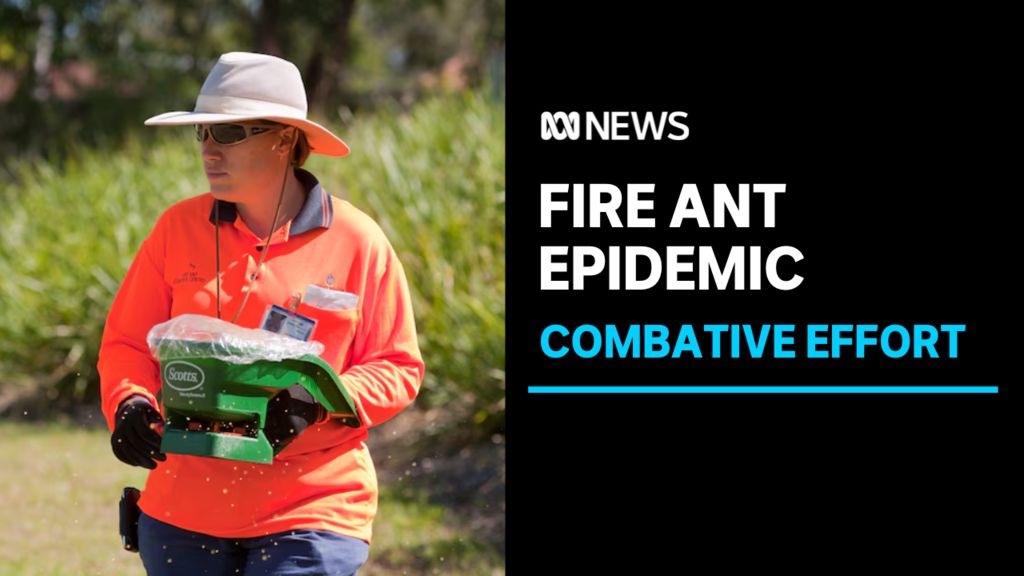 Queensland ramps up fire ant eradication campaign - ABC News