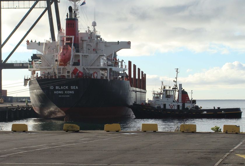 Forestry industry says China log exports remain in limbo with no end in ...