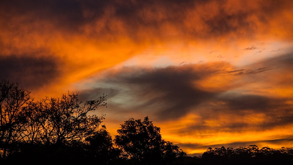 Roy Agnew: Sonata Fantasie (1927) - ABC Classic