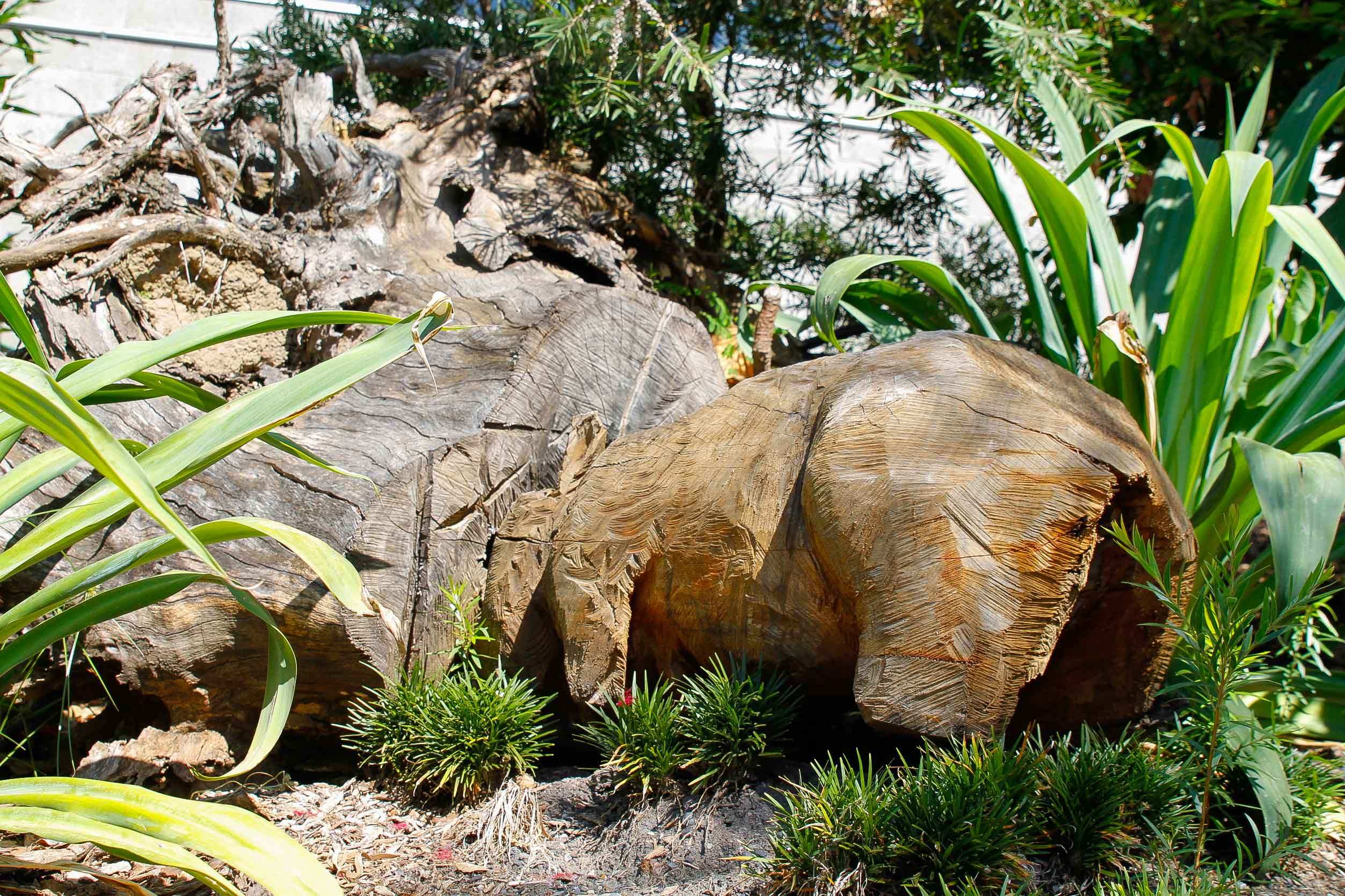Queensland chainsaw artist carves Australian animals from fallen trees ...