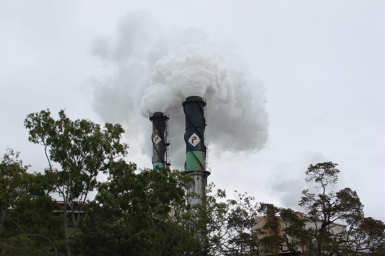 Sustainability and innovation driving change in Queensland's far north ...